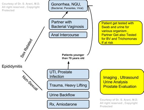 Std Testing And Treatment Center In Southern California Epididymitis