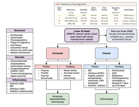 Lower Gi Bleed Causes And Manual Of Medicine
