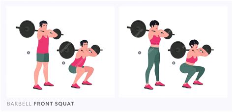 Premium Vector Barbell Front Squat Men And Woman Workout Fitness Aerobic And Exercises