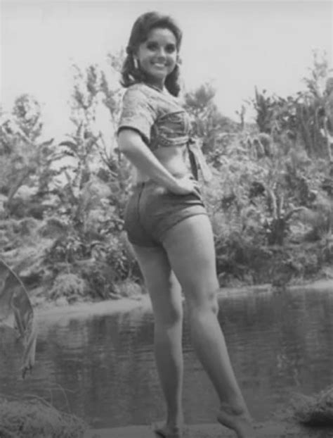 Dawn Wells 60s Tv Shows Women Tv Classic Actresses