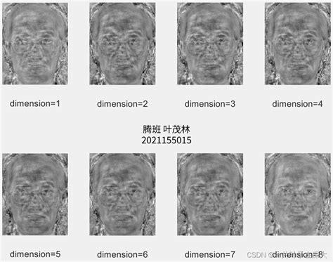 机器学习之基于lda的人脸识别lda人脸识别代码讲解 Csdn博客