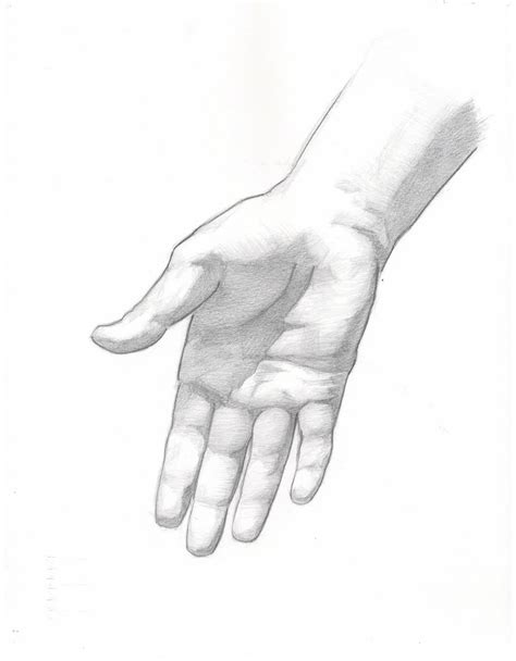Open Hand Hand Of John The Baptist Drawing Hands Full Of Gesture Are