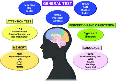 Main Tests Used To Assess Cognitive Impairment In Patients Bdae