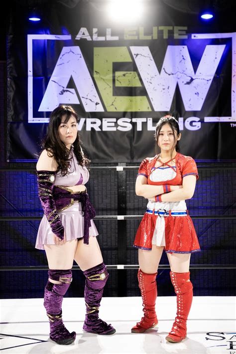 Emi Sakura And Mei Suruga Wrestler Mizuki Mizuki Whirling Candy Wrestling Mei Mei Volume Cover