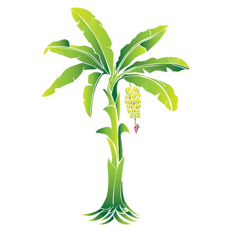 Banana Tree Png