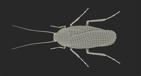 Cockroach Killer With Cockroach Collection 3d Model 89 3ds Obj