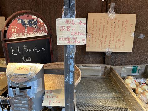 Intermediate Nice Glasses Japaneseinthewild