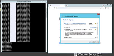 network printer ping issue from win server 2012 networking