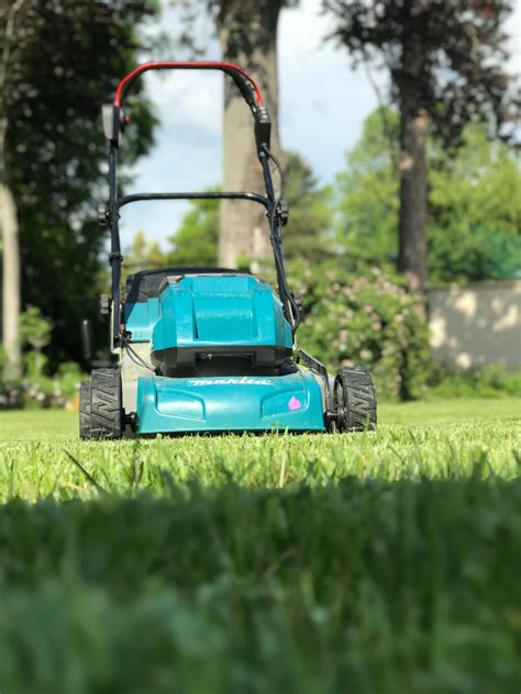 Checklist Voor Mooi Gazon Zo Onderhoud Je Het Gras In Juni