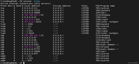 Linux：查看端口占用的进程