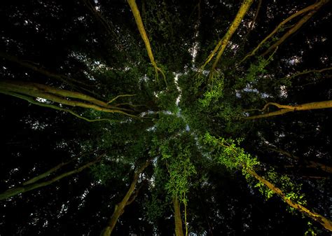 The Winning Photos From The Ciwem Environmental Photographer Of The