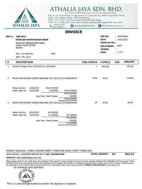 Invoice Meter Reading Pdf Payments Services Economics