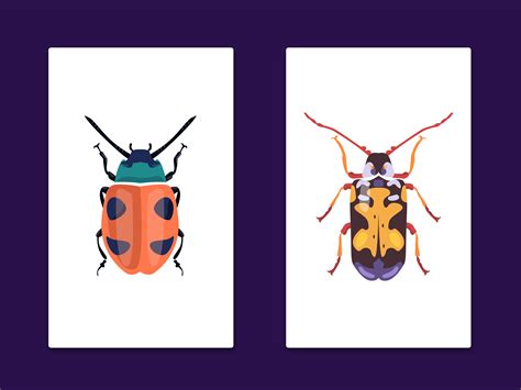 Dribbble Beetles 02 By Alina
