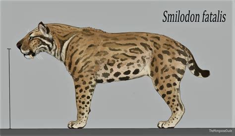 Smilodon Fatalis Paleoart