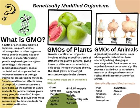 What Is Gmo Pdf
