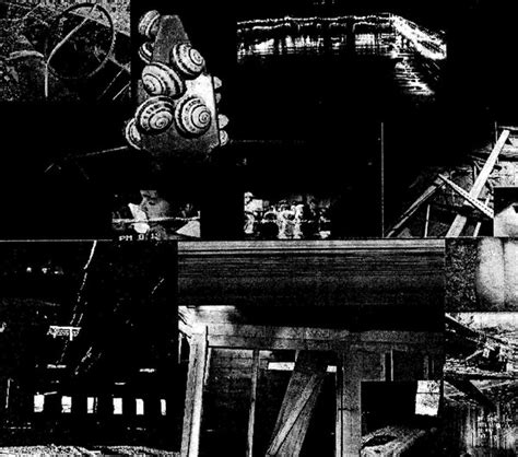 Boy By Interracial Sex Album Power Electronics Reviews Ratings