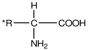 Describe The General Structure Of An Amino Acid Dorianminsolomon