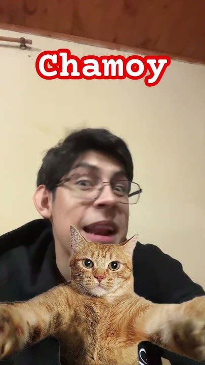 Chamoy Chamoy Chamoy Youtube