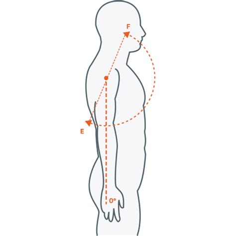 Humantrak Test Protocol Shoulder Extension Vald Knowledge Base