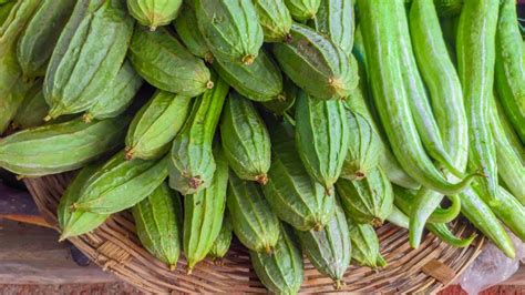 What Is Angled Luffa And How Do You Eat It