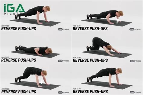 Reverse Pushup Hướng Dẫn Thực Hiện Chi Tiết Iga Pilates