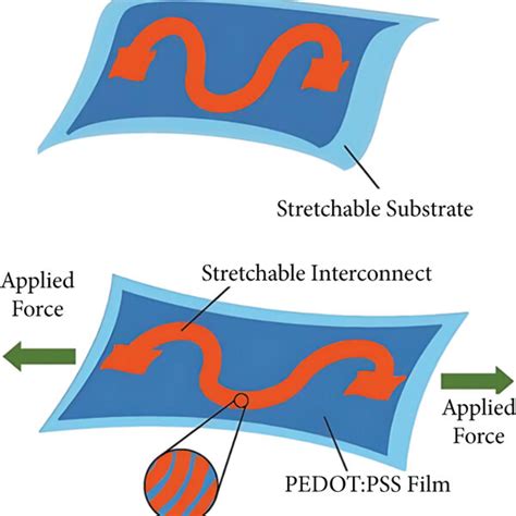 A Sem Of A Patterned Au Interconnect On A Pdms Substrate Download
