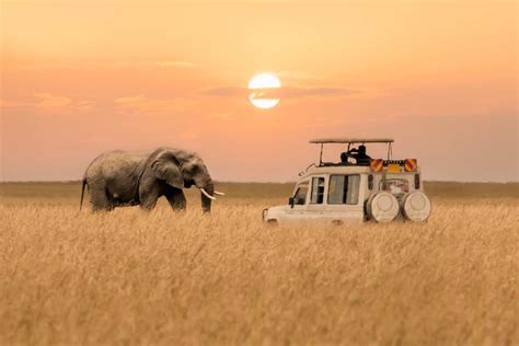 African Safaris And Tours Foto