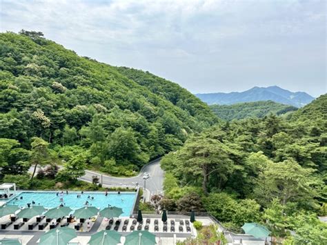 제천 여행 숙소 포레스트 리솜 레스트리 리솜 리조트 G40 숲뷰 1박 후기 네이버 블로그