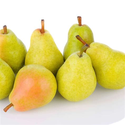 Bartlett Pear Tree Pyrus Bartlett Plants Express