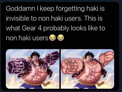 Goddamn I Keep Forgetting Haki Is Invisible To Non Haki Users This Is What Gear 4 Probably