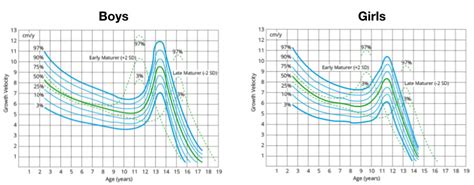 How To Calculate Growth Velocity Haiper Vrogue Co
