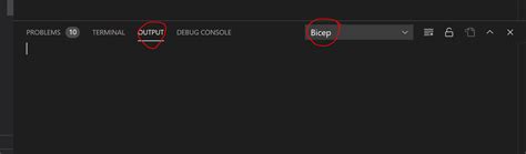Launching Server Using Command Dotnet Failed · Issue 824 · Azurebicep · Github