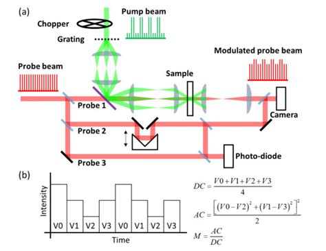 Three Dimensional Wide Field Pump Probe Structured Illumination Microscopy