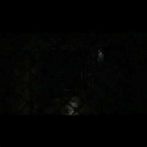 Invagination Youtube