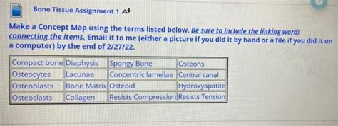 Solved Bone Tissue Assignment 1 A Make A Concept Map Using