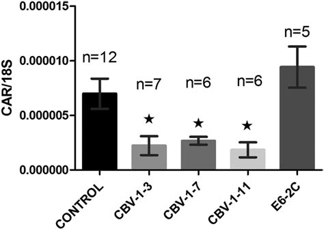 Coxsackieadenovirus Receptor Expression Is Enhanced In Pancreas From