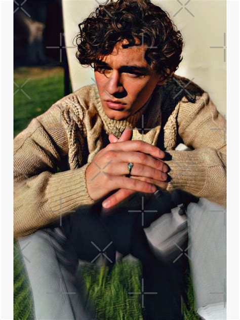 Belmont Cameli Posters Sticker For Sale By Fizashop Redbubble