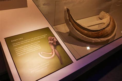 Photos Ice Age Fossils State Park Nevadas Newest Nears Completion