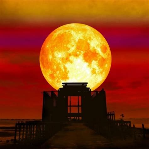 Stream Scorr Music Listen To Songs Albums Playlists For Free On