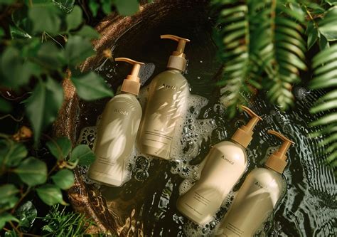 Biodegradable Bottles A Sustainable Solution Gaining Traction Worldwide