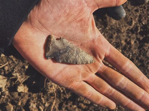 Gravity Falls Iceberg Chart Ricebergcharts