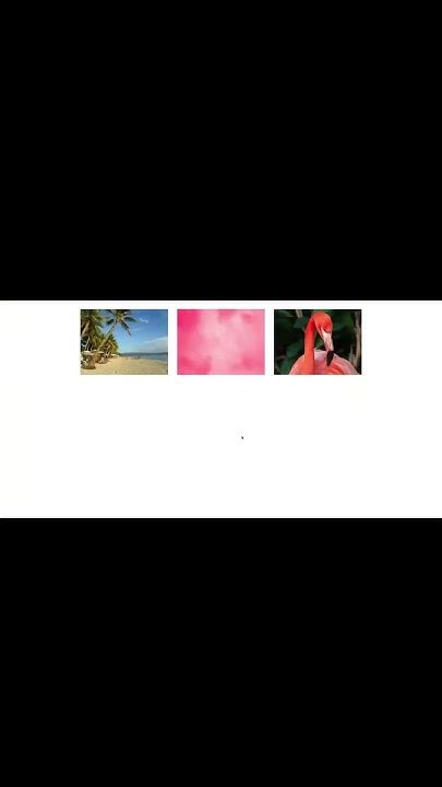 Image Full Screen Using Html Css And Javascript Codesecret Webdevelpment Youtube
