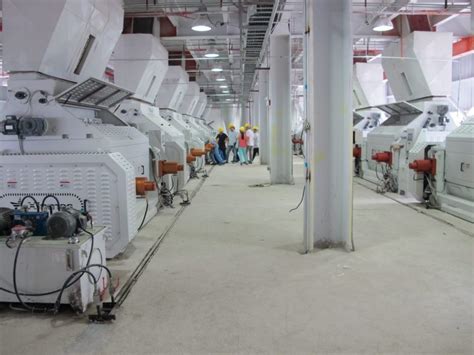 Flaking Mill Project For Zzy Scikoon Industry Co Ltd