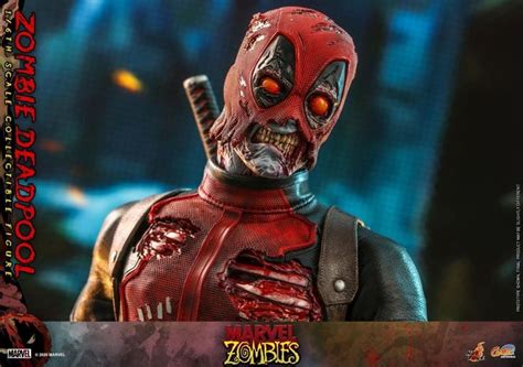 Hot Toys 1 6th Scale Zombie Deadpool [marvel Zombie]