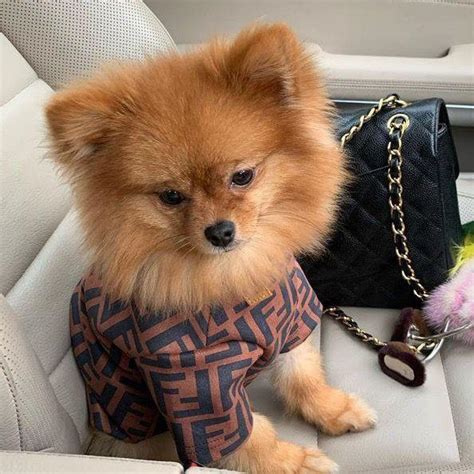 Michelle Kellar Spears