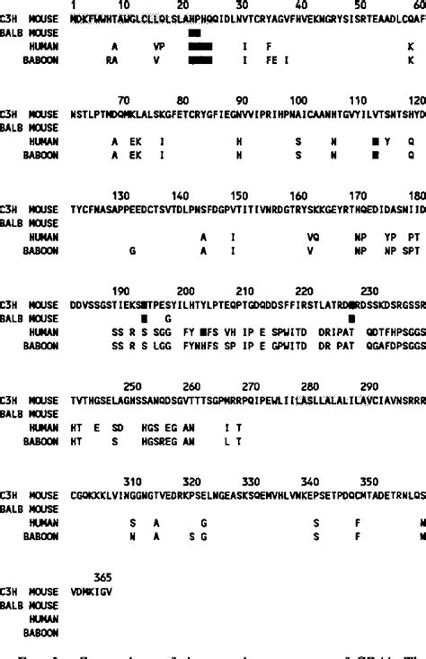 Figure 2 From Isolation Of Mouse Cd44 Cdna Structural Features Are Distinct From The Primate