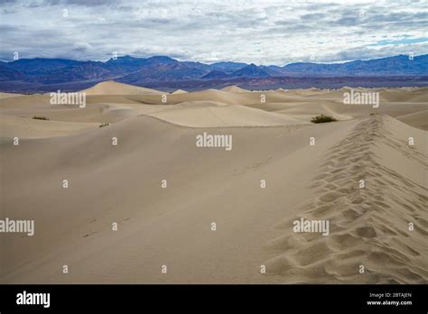 Mesquite Flat Sand Dunes In Death Valley National Park In California In