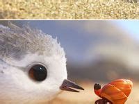 7 Ideas De Pajarito Chichicuilote Cortometrajes Para Niños Pixar