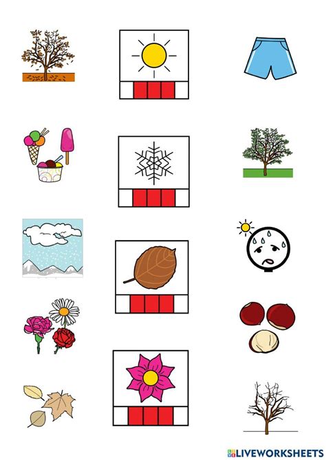 Estaciones Del … Free Interactive Worksheets 857420