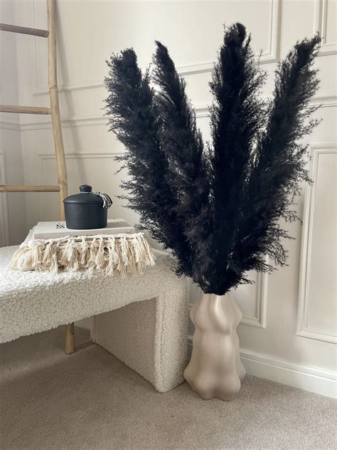 Black Fluffy Pampas A Pampas Life